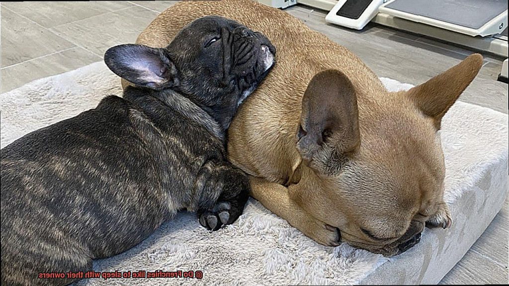 Do Frenchies like to sleep with their owners? – Allfrbulldogs.com