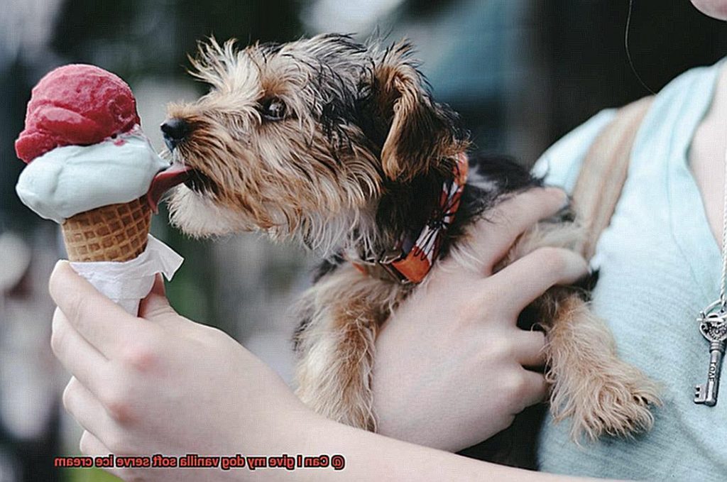 Can I give my dog vanilla soft serve ice cream? – Allfrbulldogs.com